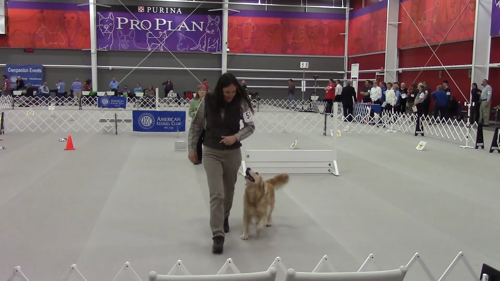 Watch How to Win at Rally, Part 2: Advanced Online | Vimeo On Demand on ...