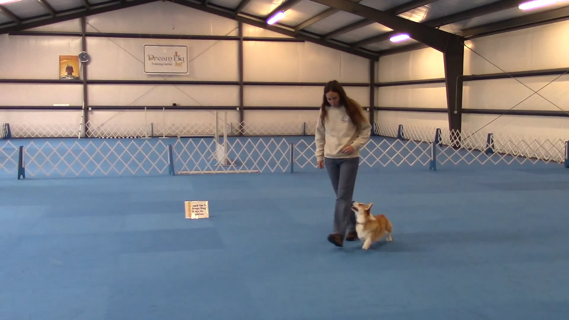 Watch How to Win at Rally, Part 3: Excellent Online | Vimeo On Demand ...