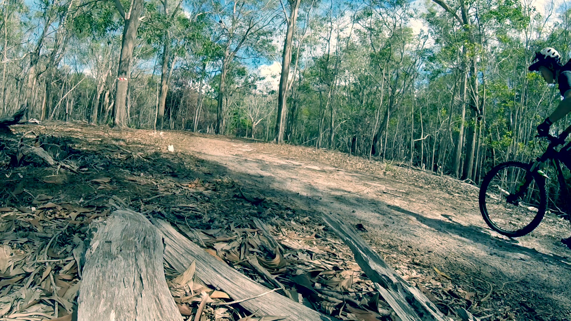 Just havin' fun at HSB