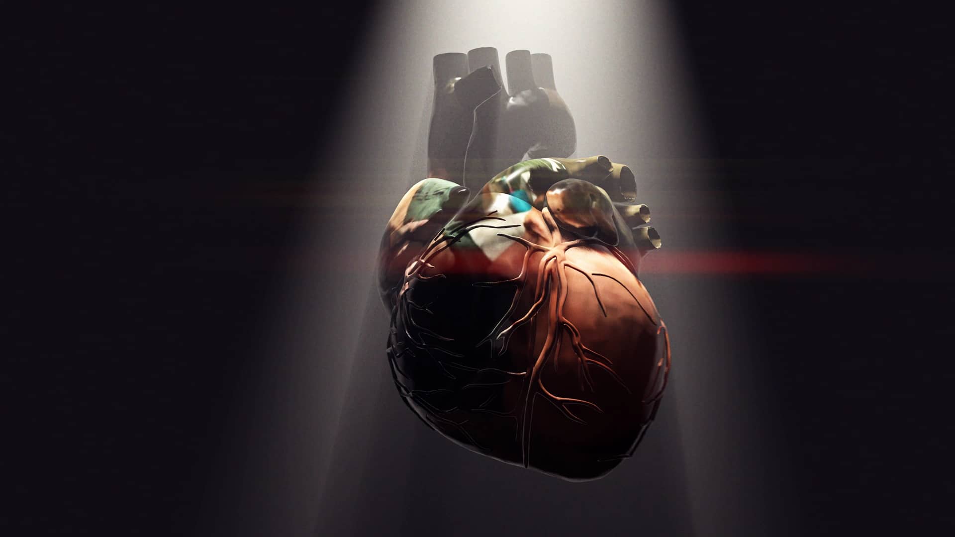 DCM Ident 1 - 2013 on Vimeo