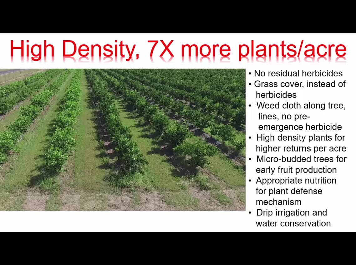Dr.Mani Skaria's New Citrus Outlook June 2016 on Vimeo