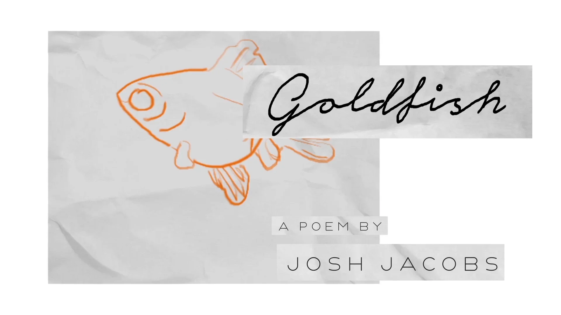 Goldfish on Vimeo