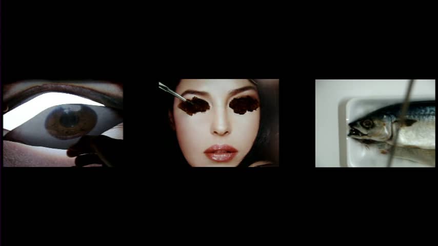 시선공포증(scotomaphobia) on Vimeo