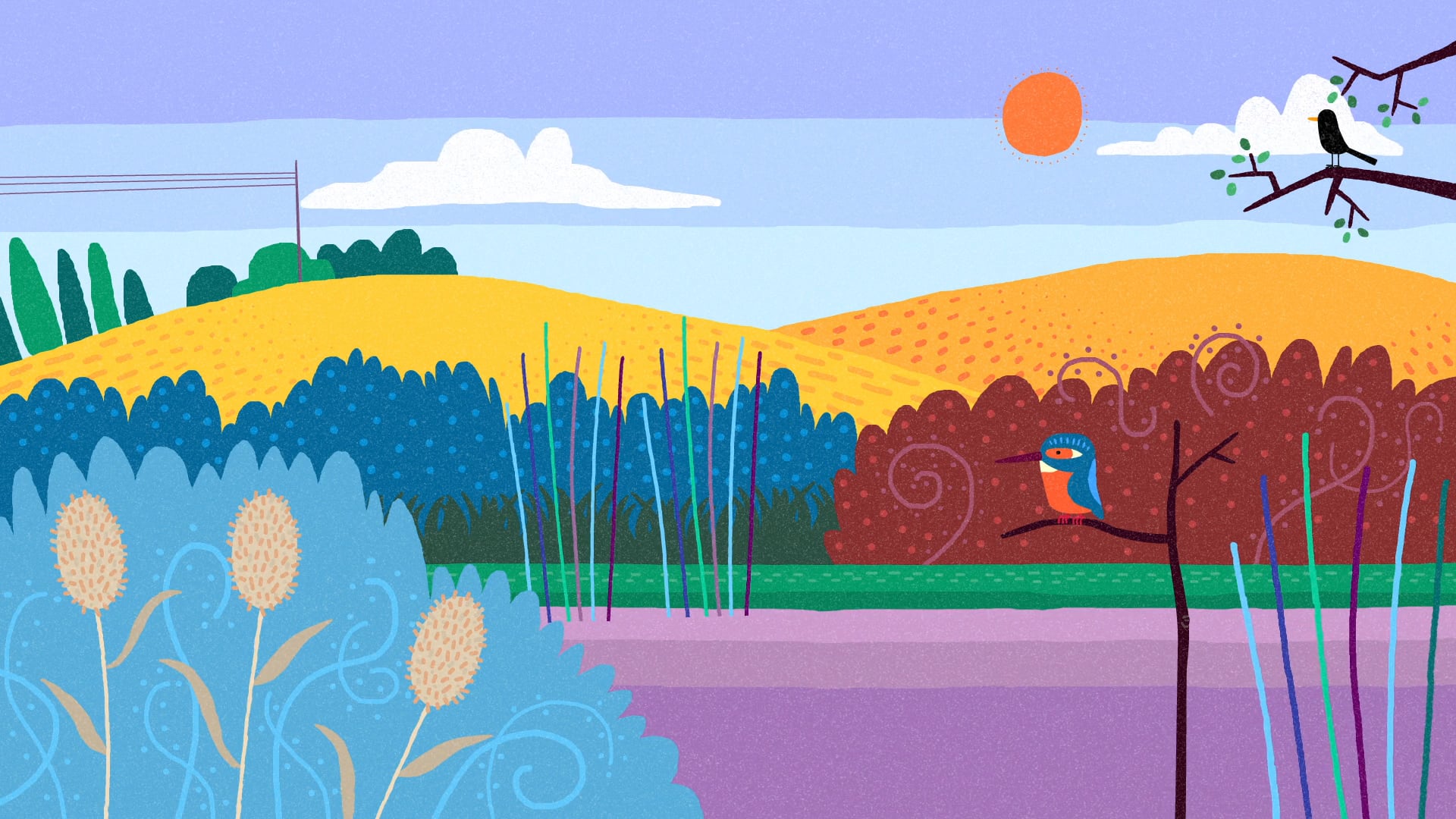 BY THE RIVER - An Animated Bird Guide on Vimeo