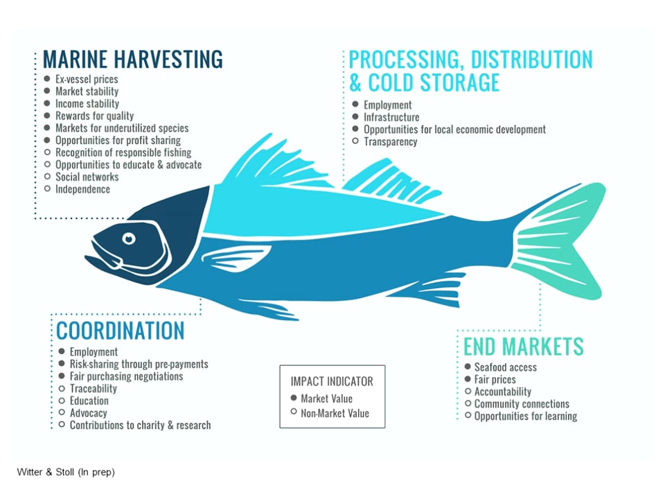 The importance of fish as food on Vimeo