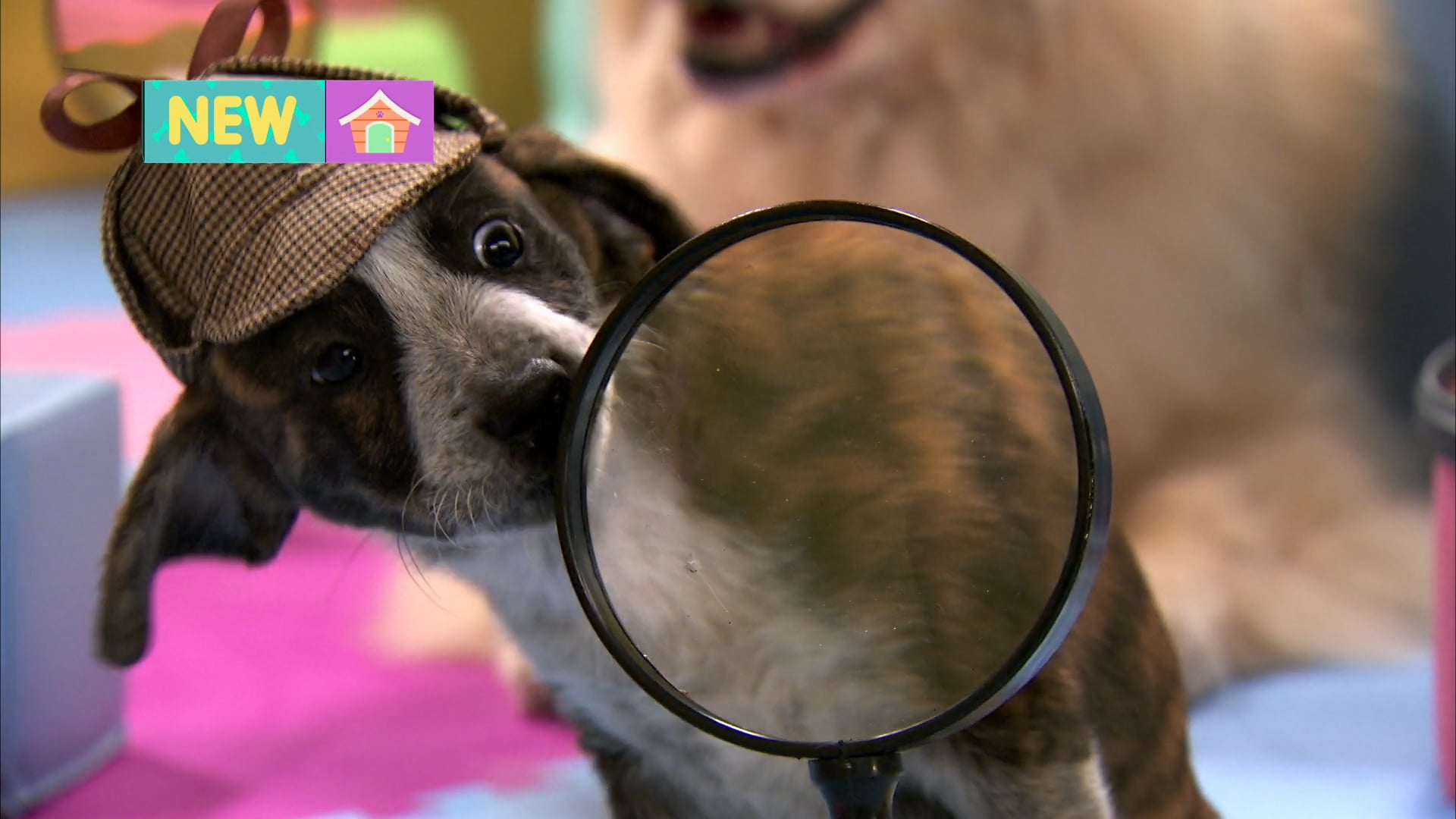 Mutt & Stuff March Premieres on Vimeo