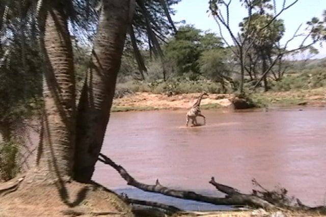 Kevin Staker - Lawyer in Camarillo, CA - Avvo