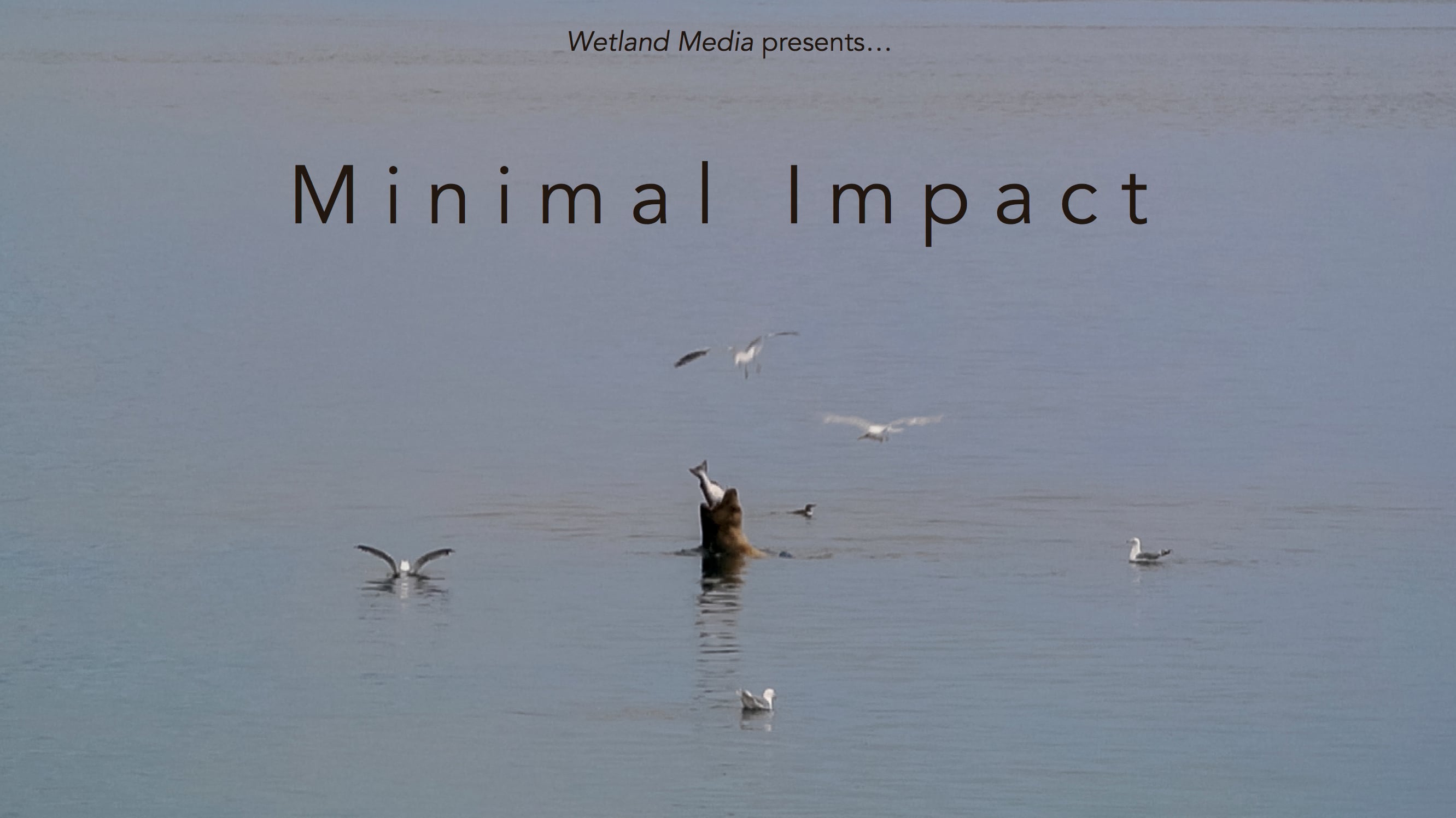 Minimal Impact on Vimeo