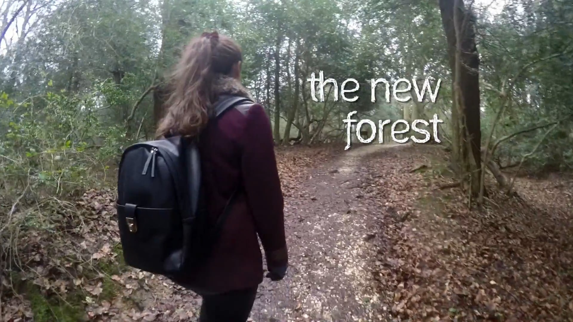 New Forest on Vimeo