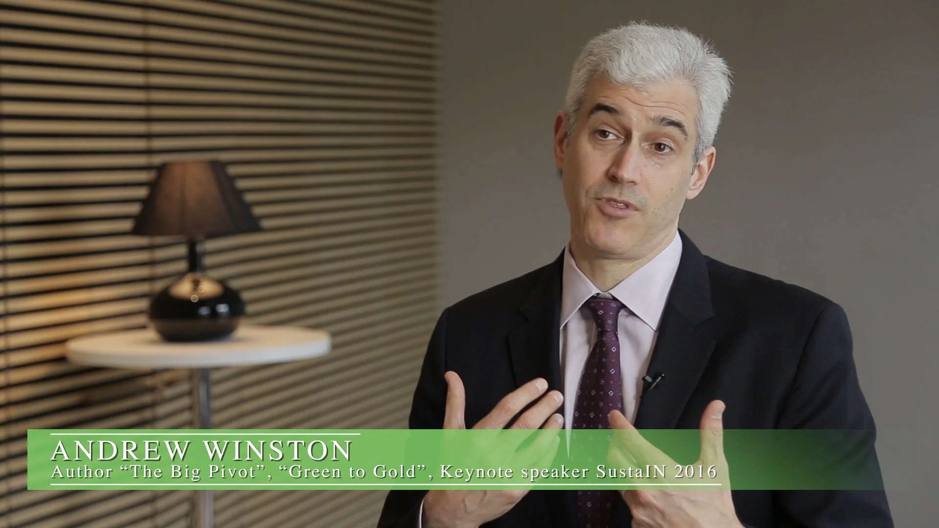 Andrew Winston Interview @ Ecovadis "SustaIn" Conference, April 2016 in ...