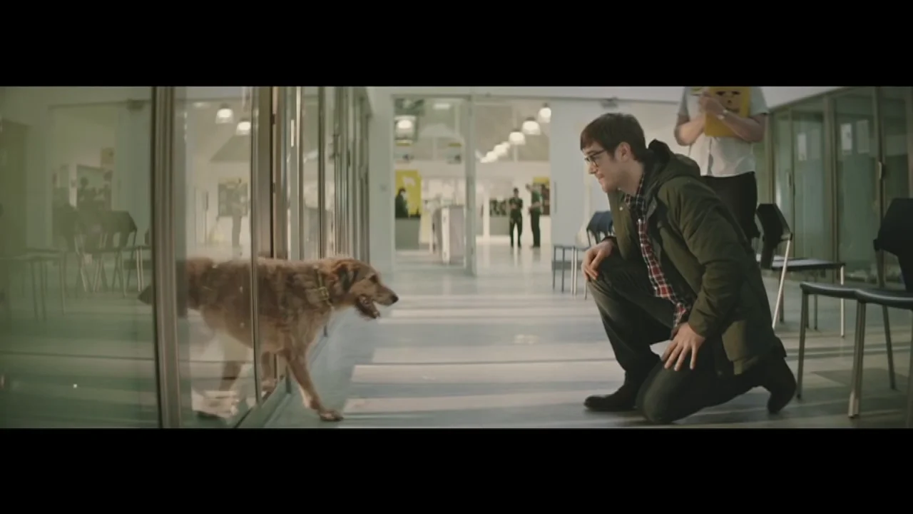 Dogs Trust '#SpecialSomeone' Advert on Vimeo