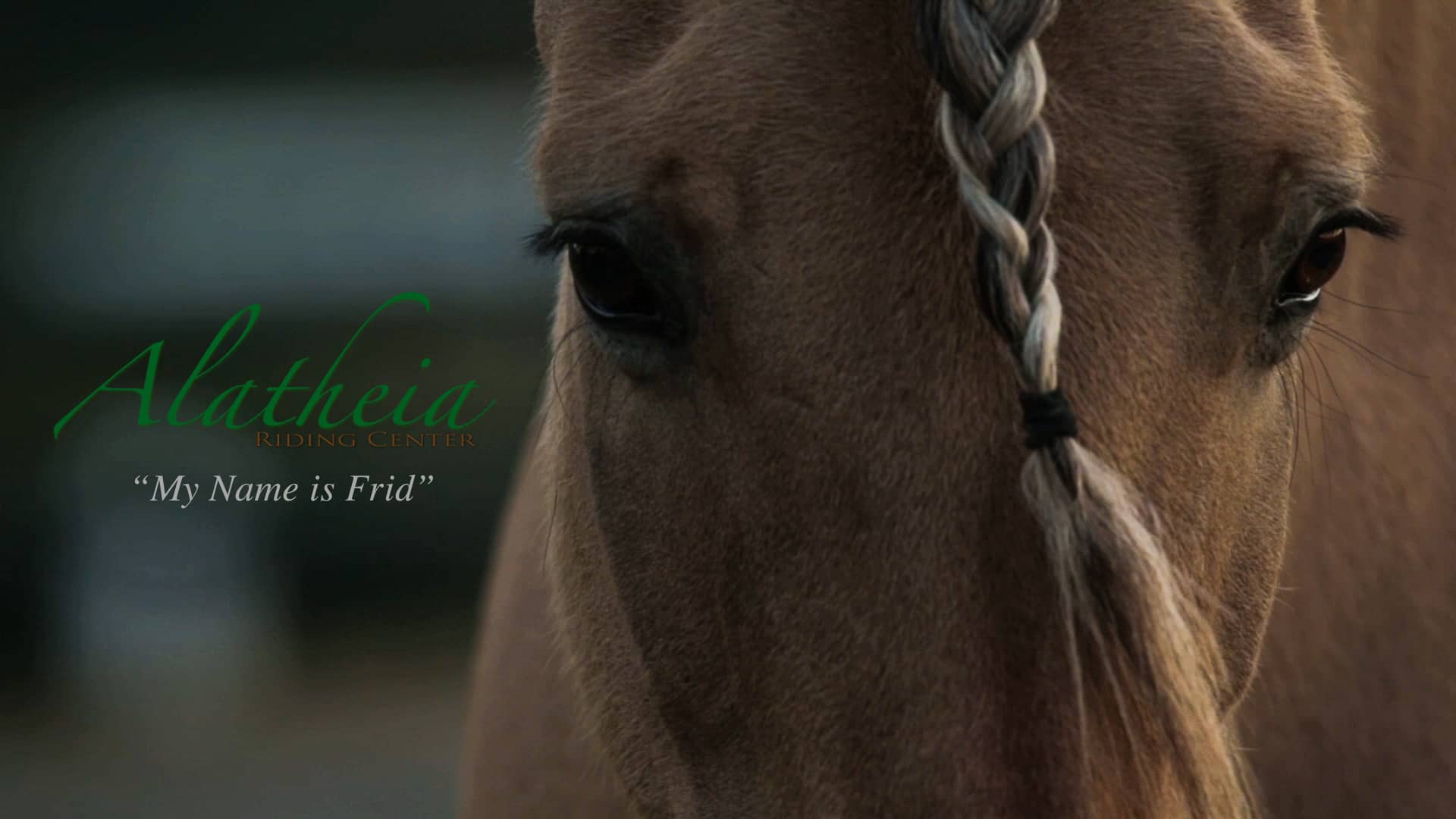 Alatheia Riding Center "My Name is Frid" on Vimeo