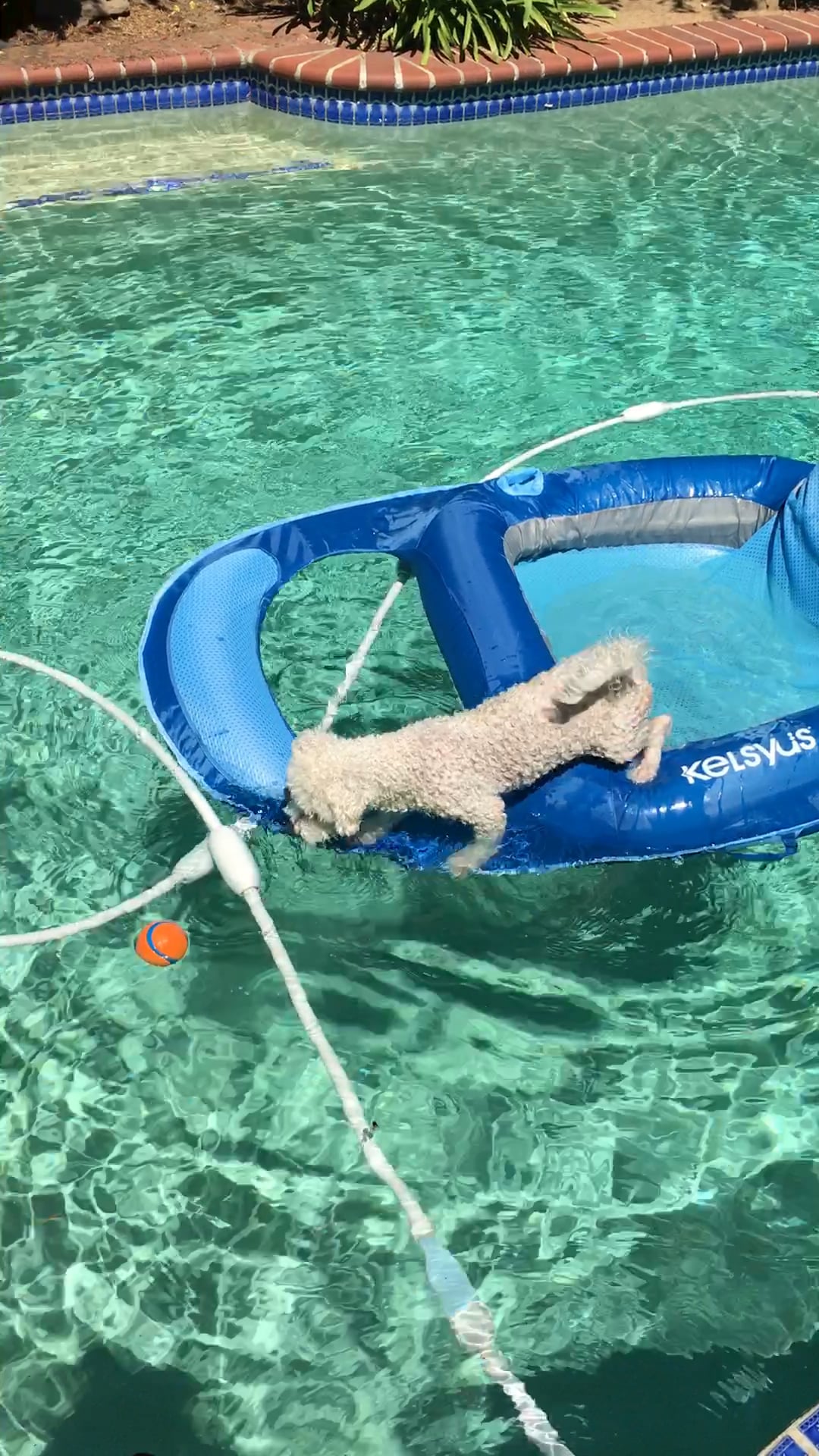 bobby and float on Vimeo