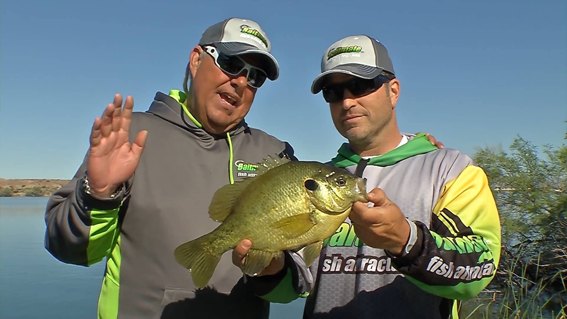 20_2016 Super Massive Havasu Bluegills -FULL EPISODE- on Vimeo