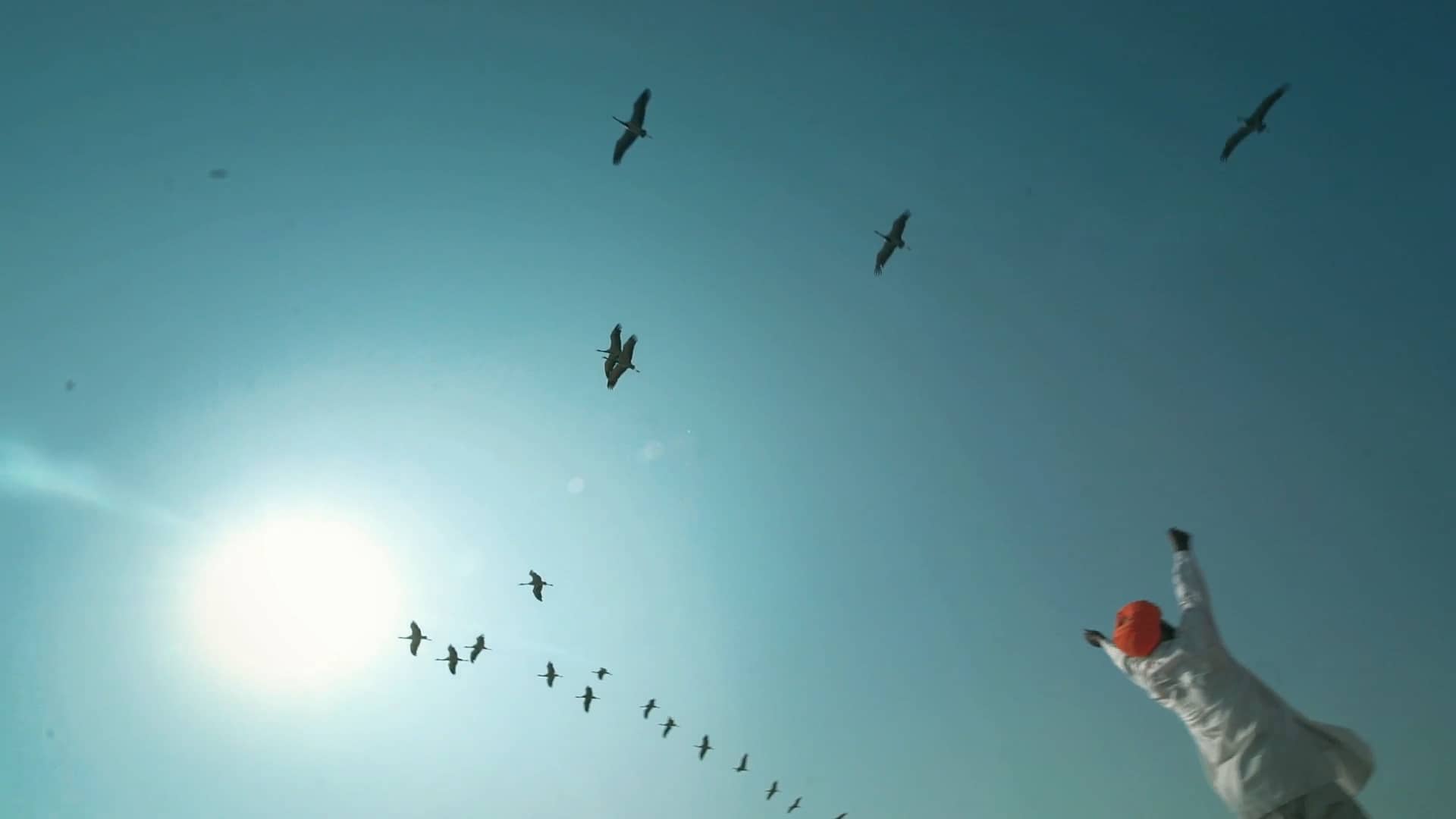 'Together Possible' - WWF on Vimeo