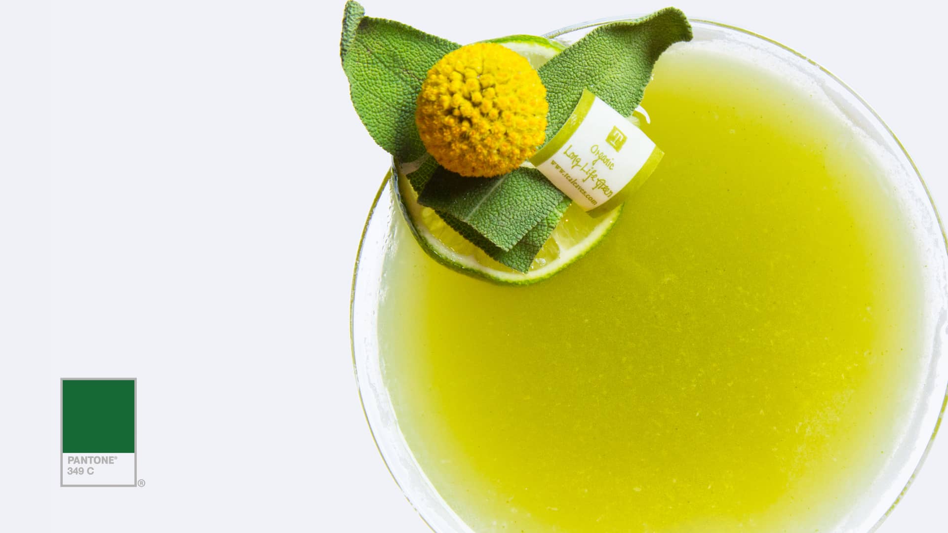 Pantone 349 C Tea Cocktail No.1B | #PaletteForYourPalate on Vimeo