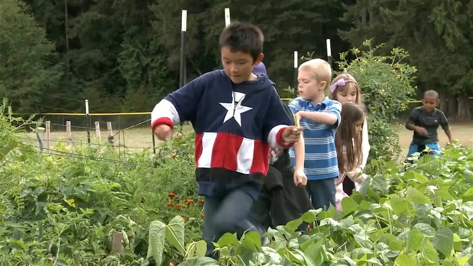 preview for CULTIVATING KIDS on Vimeo