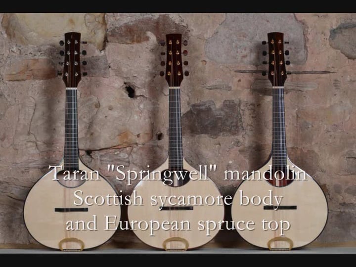 Taran "Springwell" mandolin - Scottish sycamore/sycamore body ...