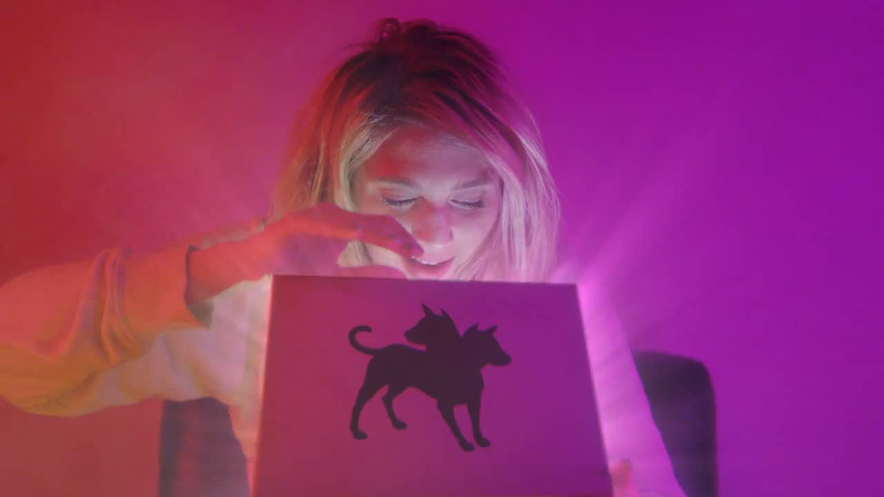 MTV2 420 Bumps: Donuts on Vimeo