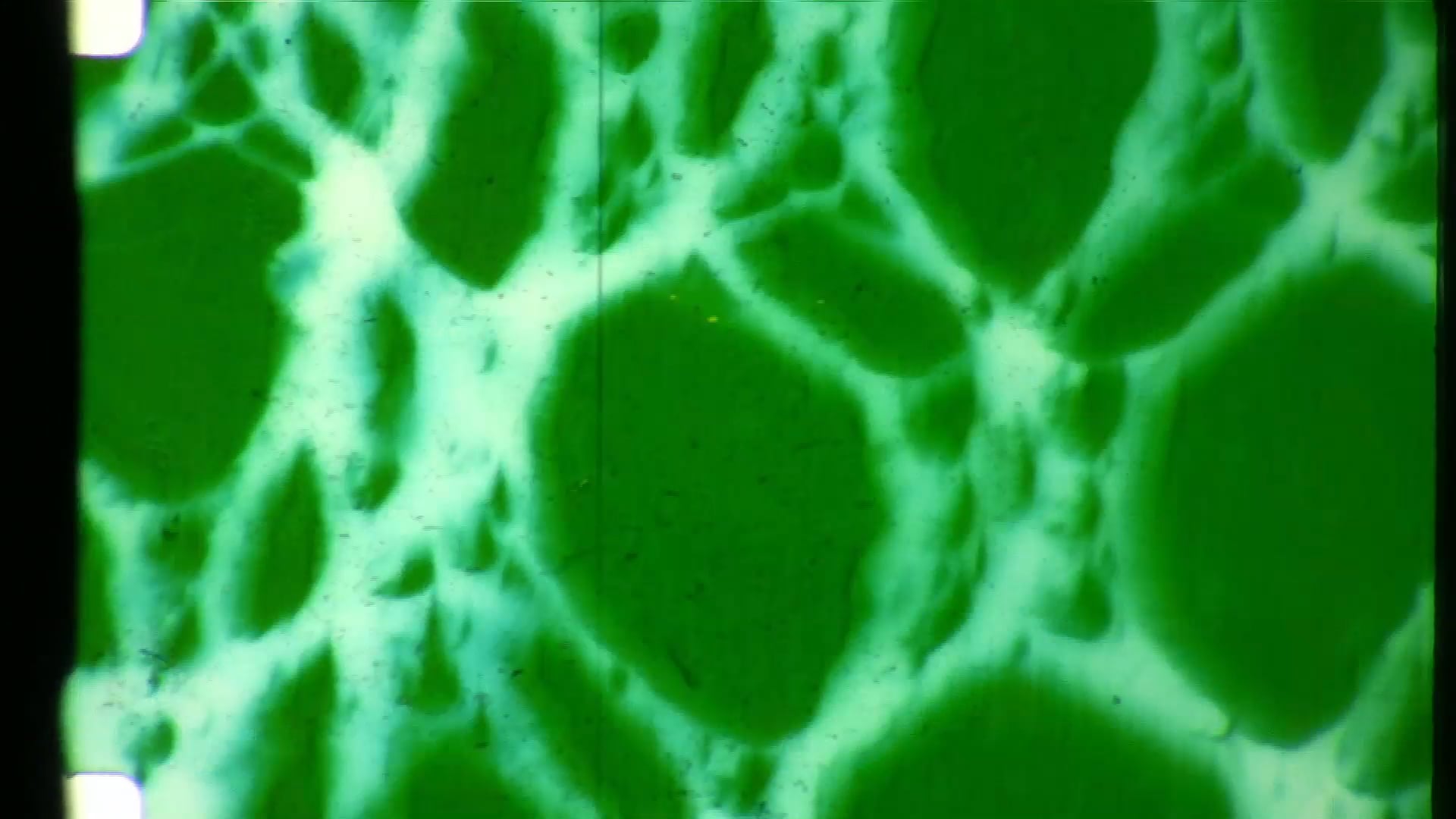 COLOR PHOTOGRAM WORKSHOP with KATHRYN RAMEY on Vimeo