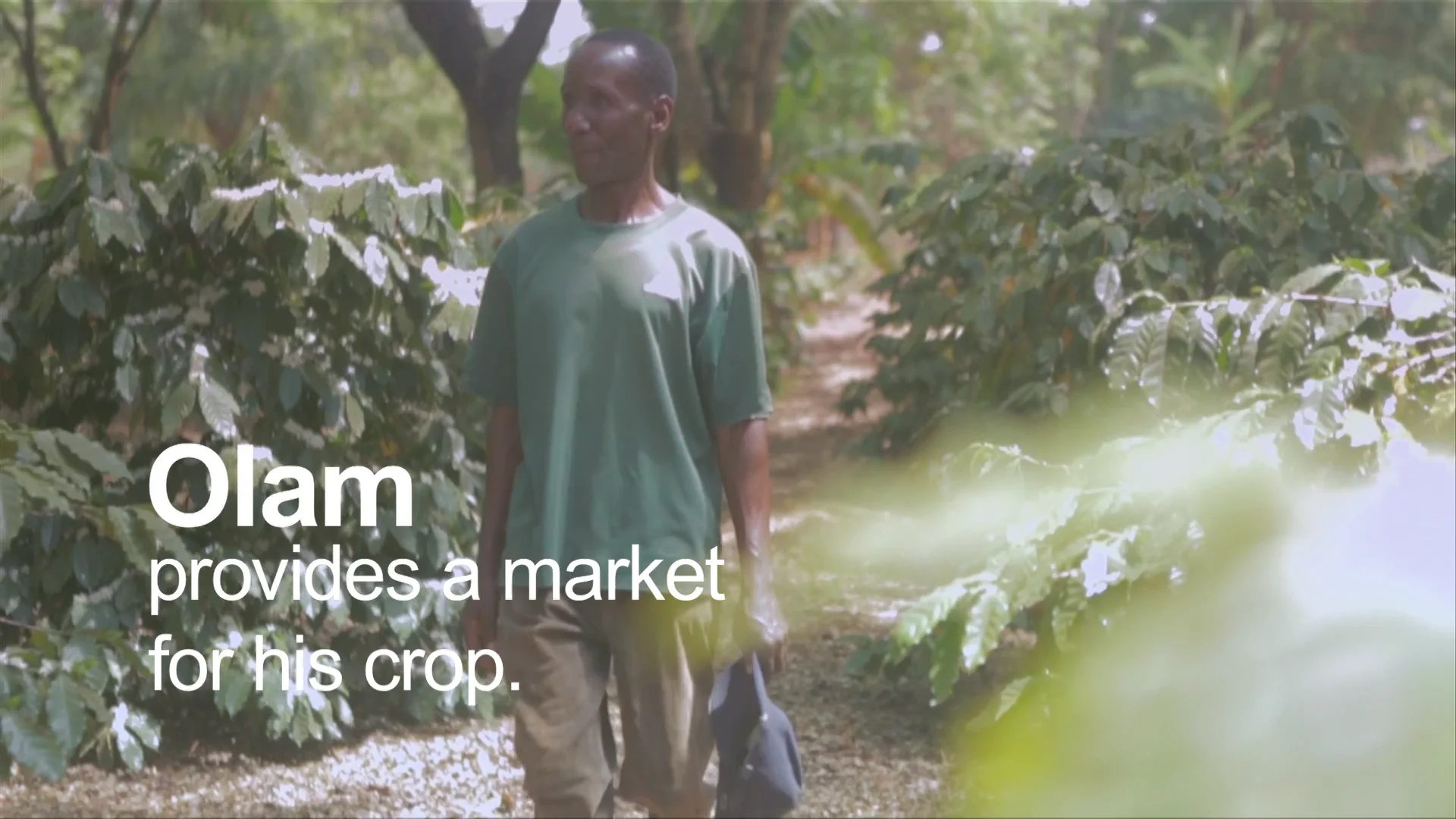 Olam Coffee Tanzania - Farmers First on Vimeo