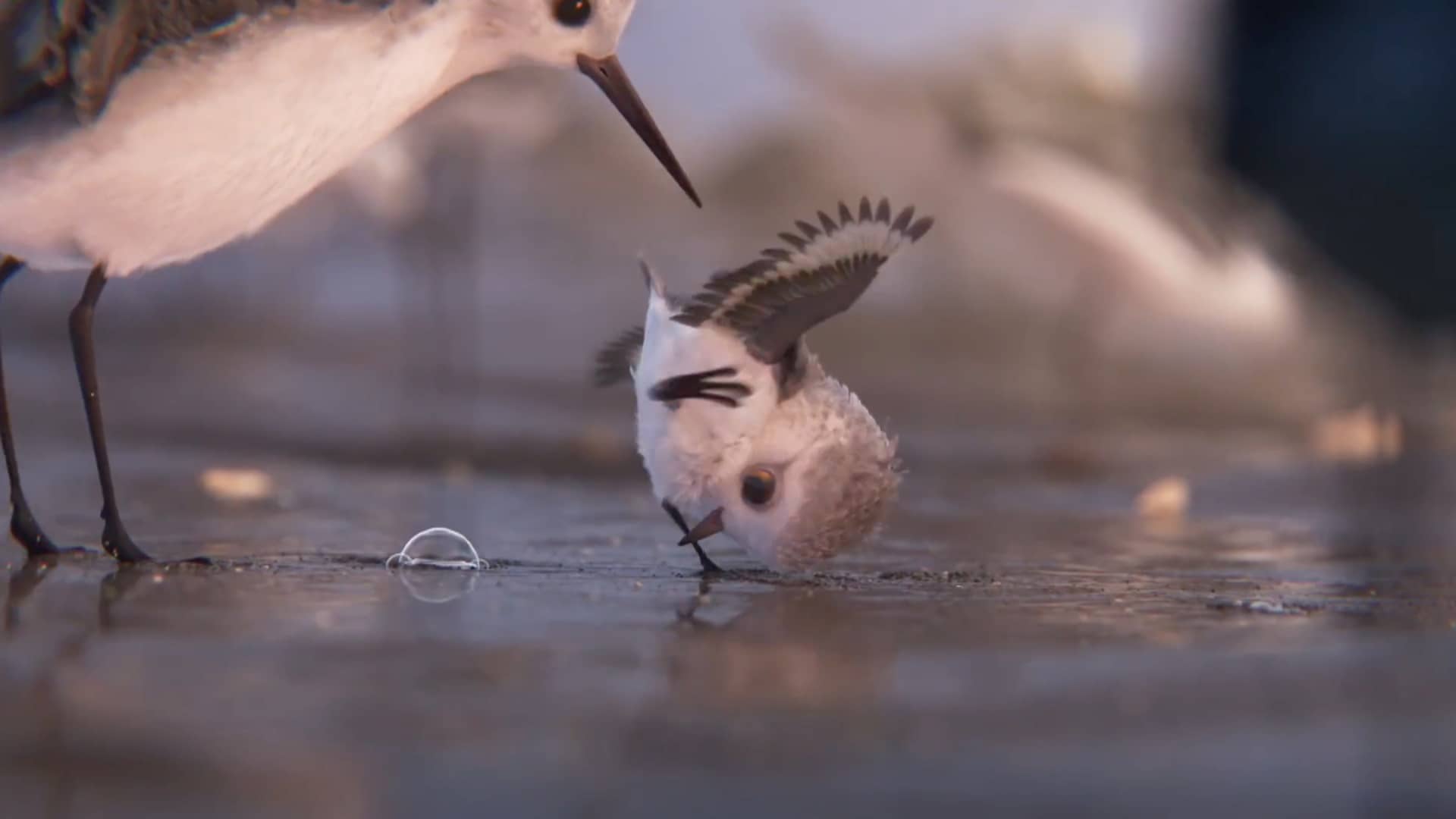 'PIPER' & 'FINDING DORY' - A 'MOVIE TALK' Review on Vimeo