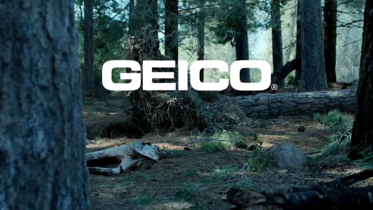 GEICO - Did You Know A tree does make a sound (2014) - YouTube on Vimeo