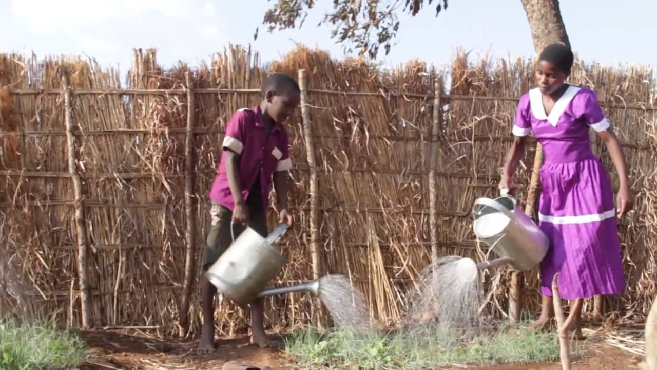 Enjoy learning a Humana People to People initiative on Vimeo