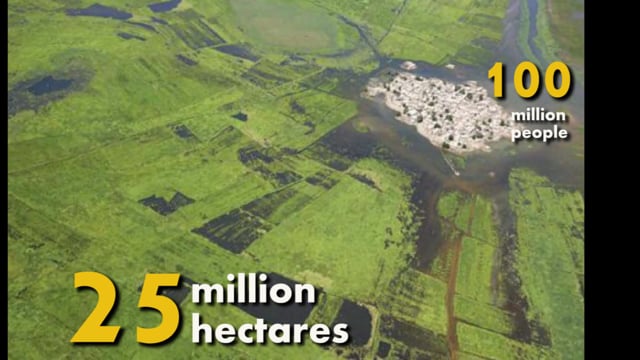 Eritrea: Sheeb Spate Irrigation System - TheWaterChannel