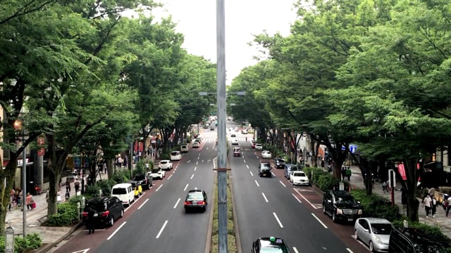 Street, Road, Traffic. Free Stock Video - Pixabay