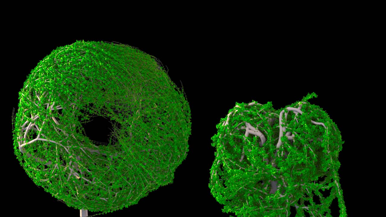 Tree shapes with dynamic L-systems for Houdini on Vimeo