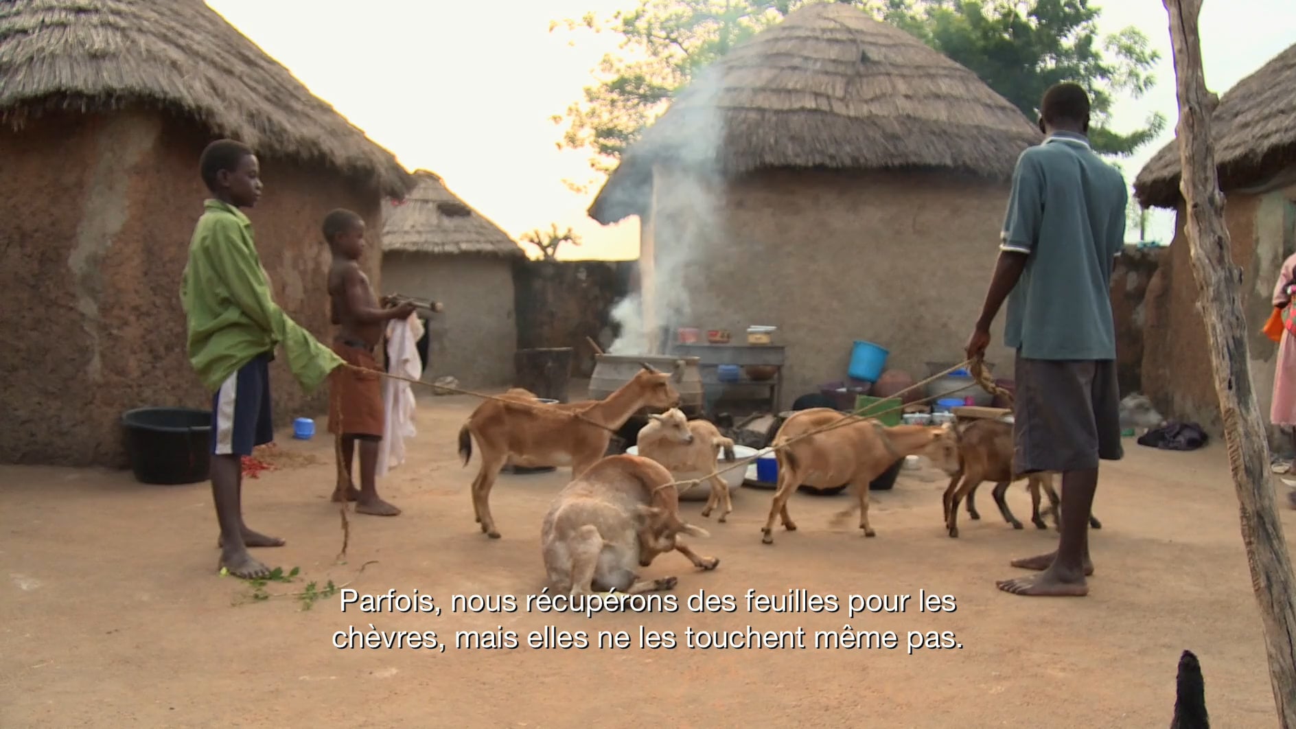 Climbing the Ladder (IPA Ghana) - French on Vimeo