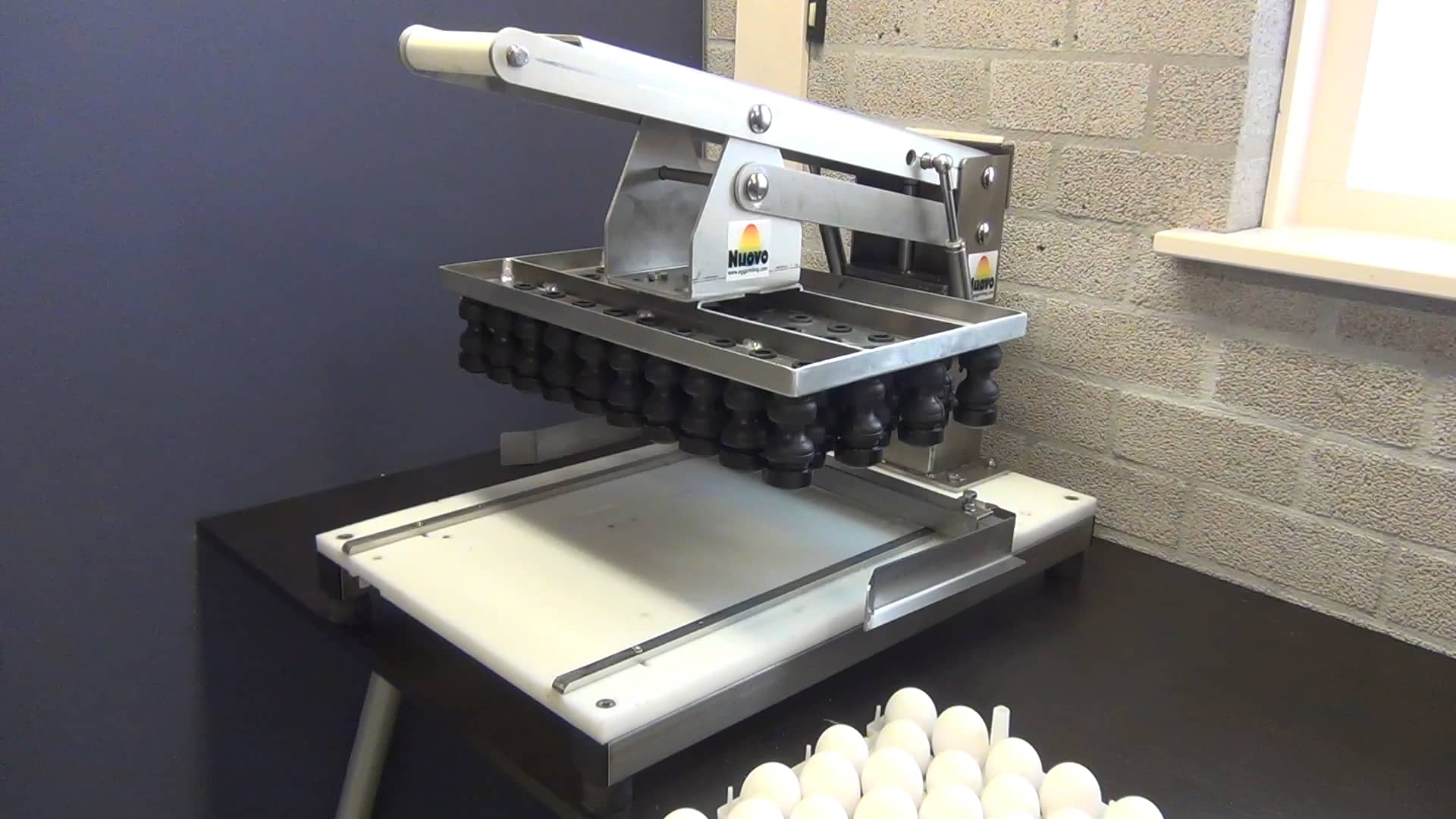Nuovo Egg Stamper - Easy Stamp Effecient Lever Stamper Hatch Tray on Vimeo