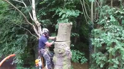 Tree Surgeons Nottingham Josh & Sam Weedon are Certified Tree Surgeons ...