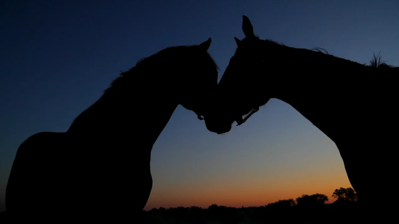 margaux farm on Vimeo