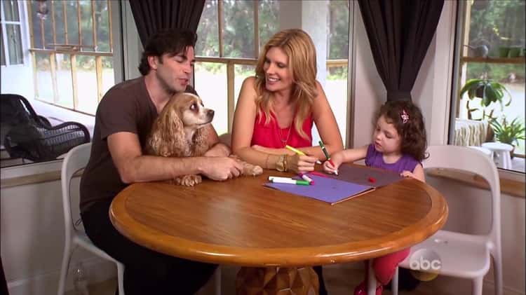 xander security services – Protection with safety