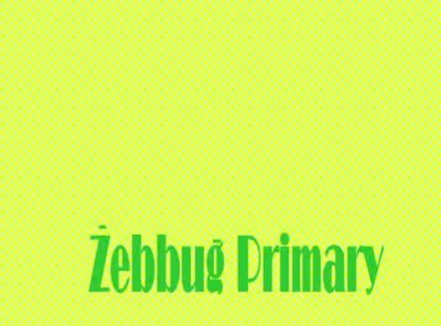 Zebbug Primary School Activities on Vimeo