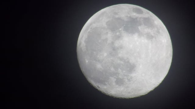 Royalty Free Stock Video for Free Personal, Corporate or Commercial Use ...