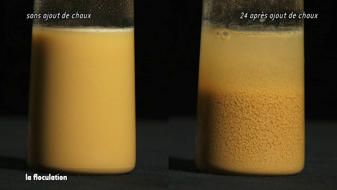 8.09 - La floculation on Vimeo