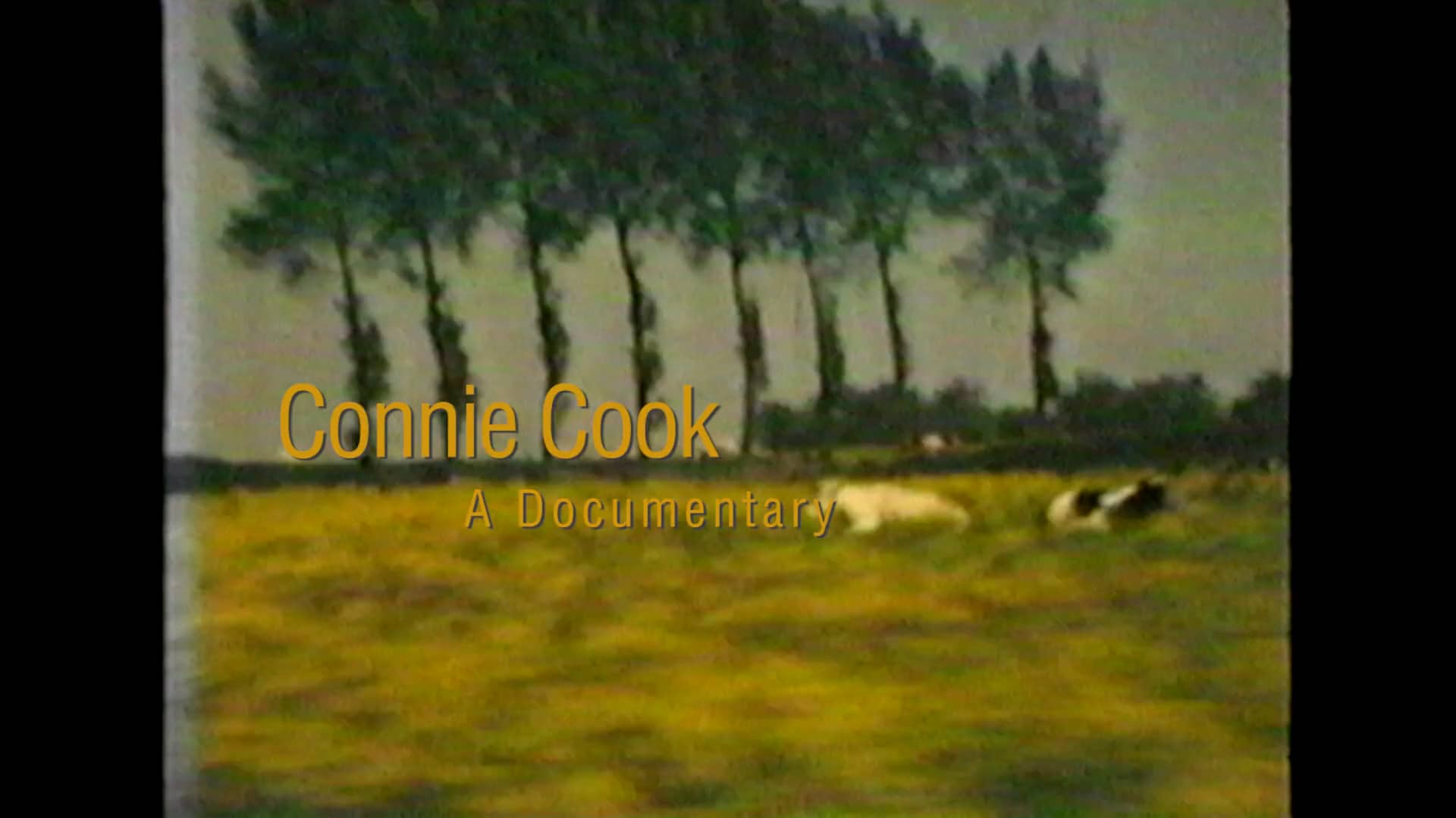 TRAILER - Connie Cook on Vimeo