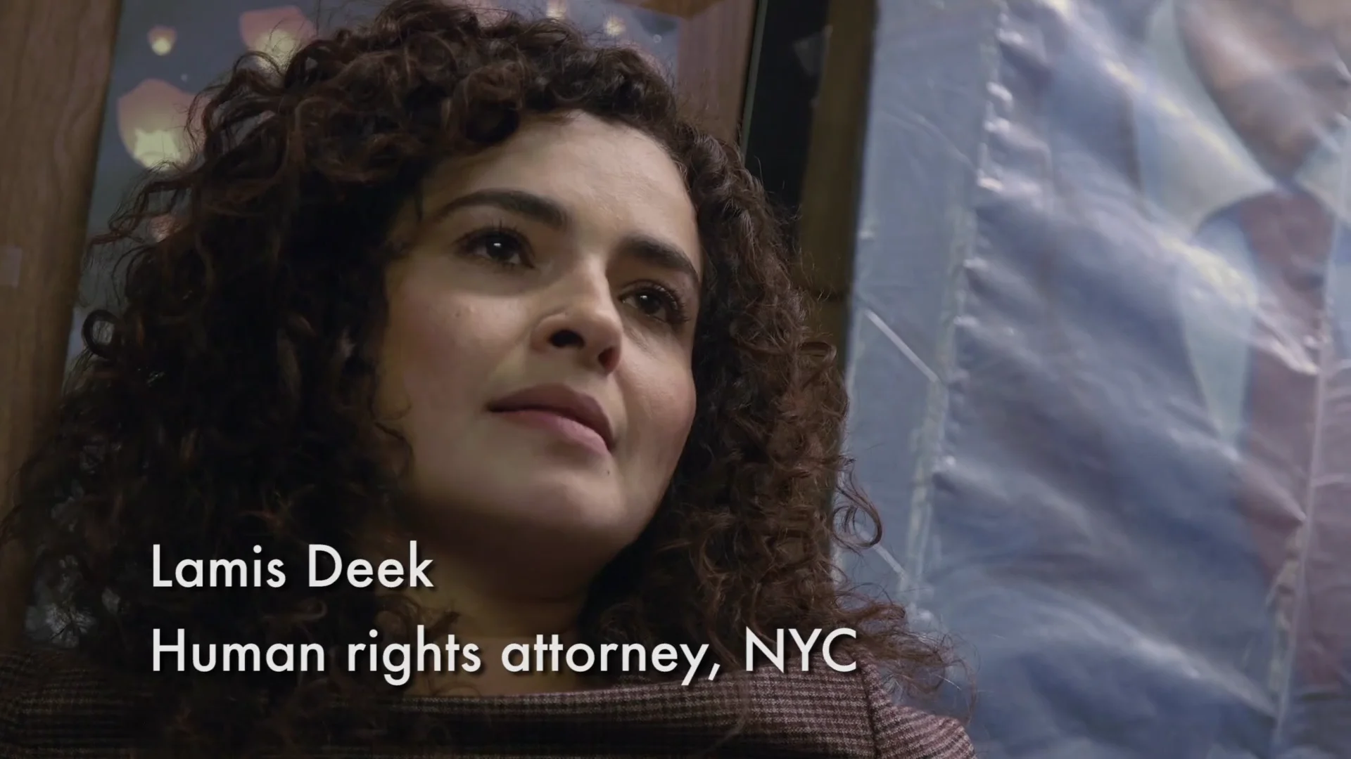 Watch Failing the Palestinian People: Lamis Deek at Reels for Radicals ...