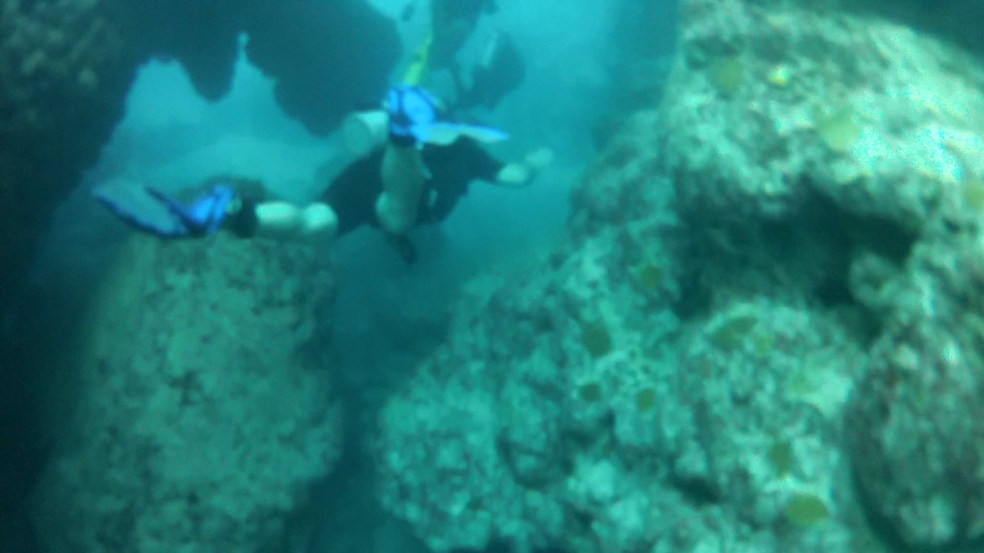 Bermuda Scuba Diving 2015 on Vimeo