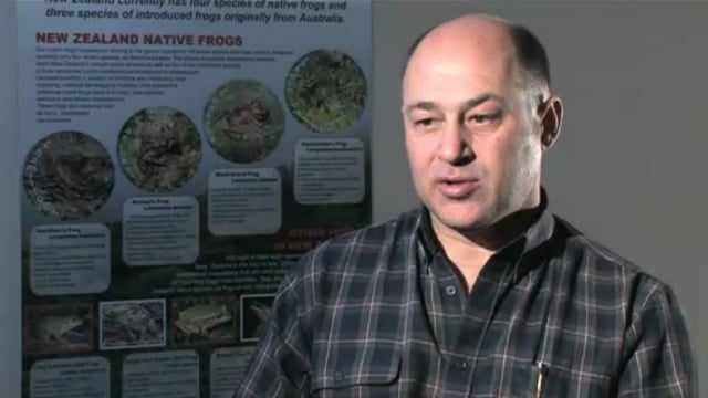 Frog disease in captivity — Science Learning Hub