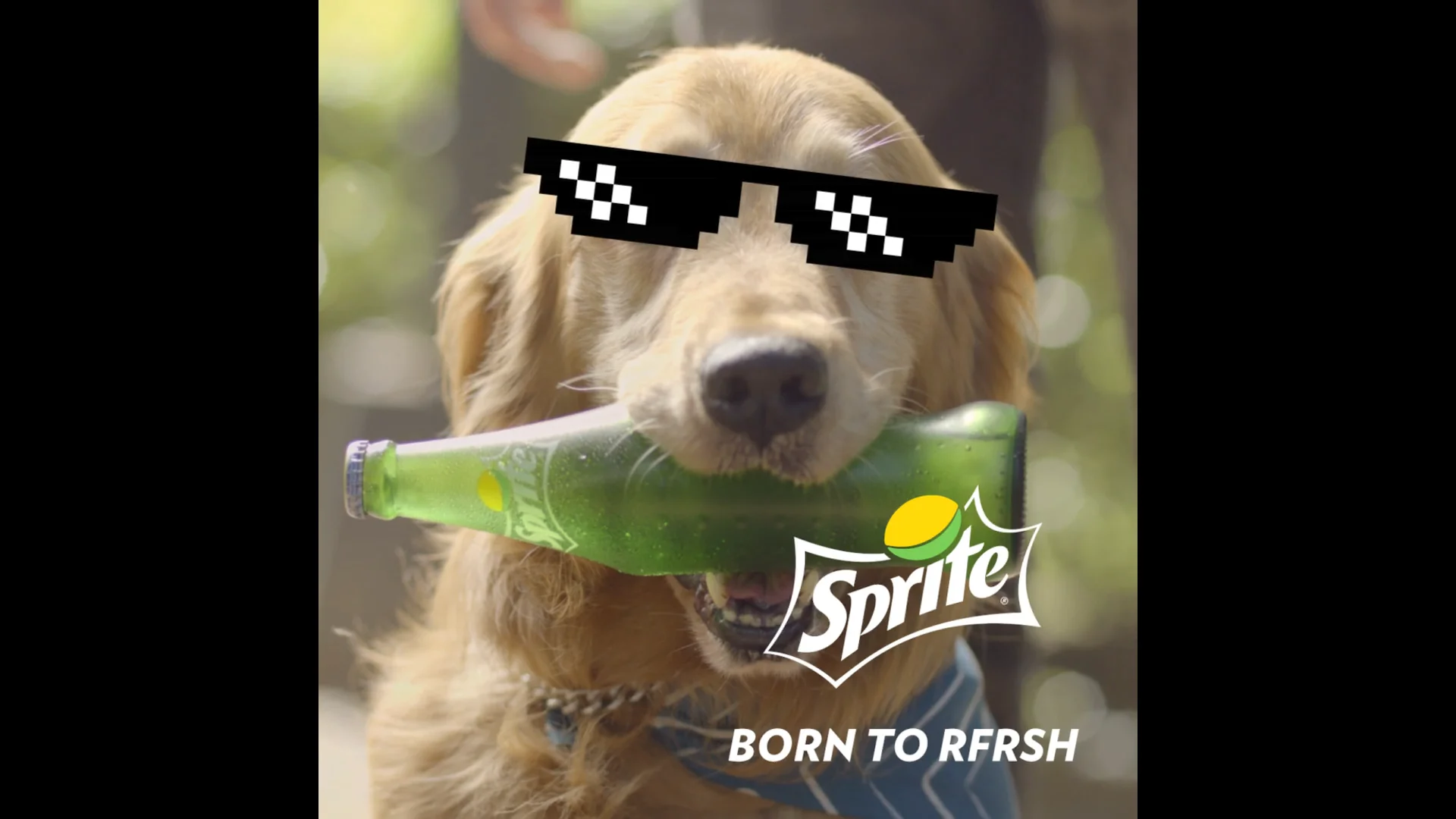 Campañas / Campaigns - Sprite Vines - Hello_ Mx on Vimeo