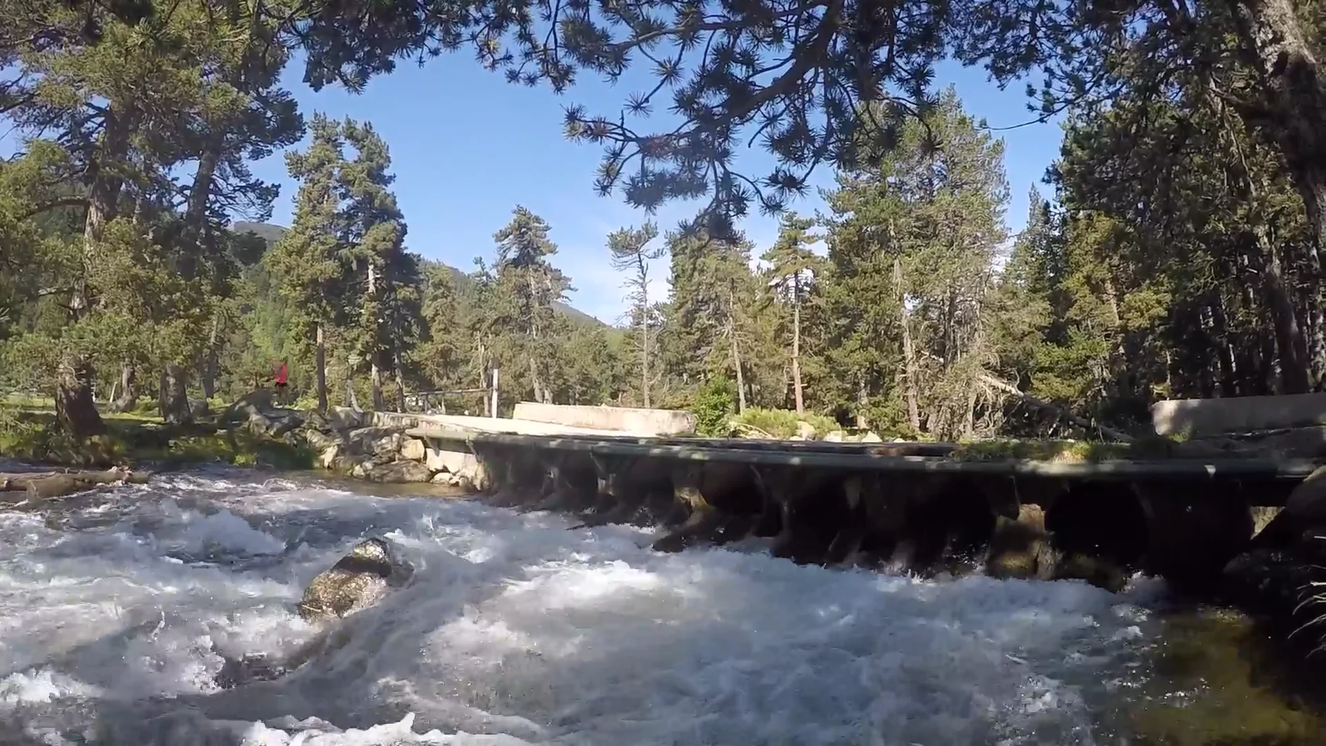 Running at Pyrenees 2000 (near Font Romeu) on Vimeo