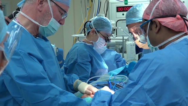 Surgical Videos Archives - Page 2 of 3 - The Journal of Laryngology ...