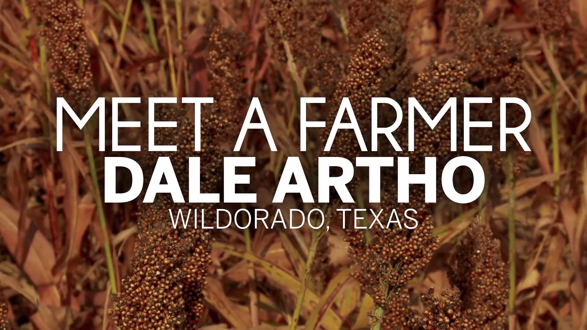 Meet a Farmer | Dale Artho (Milo) on Vimeo
