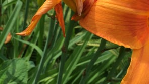 Videos about “natalee” on Vimeo