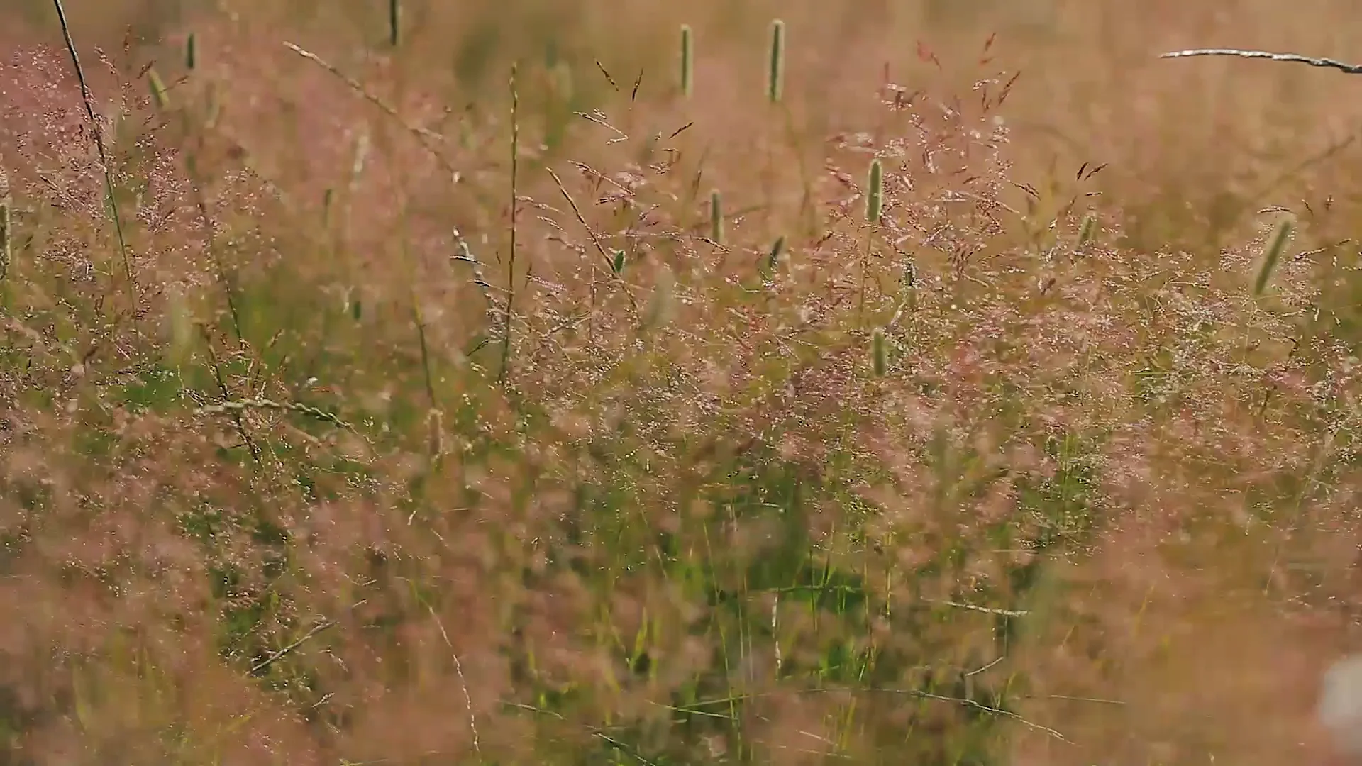 REF11 on Vimeo