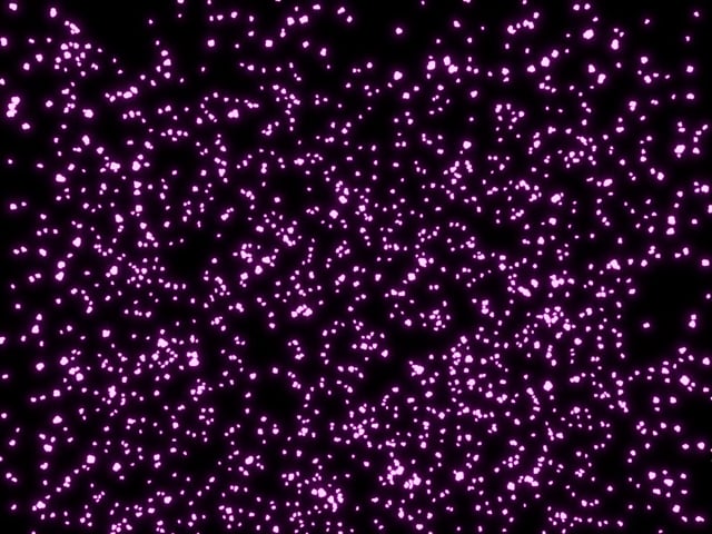 Particle, Pink, Violet. Free Stock Video - Pixabay